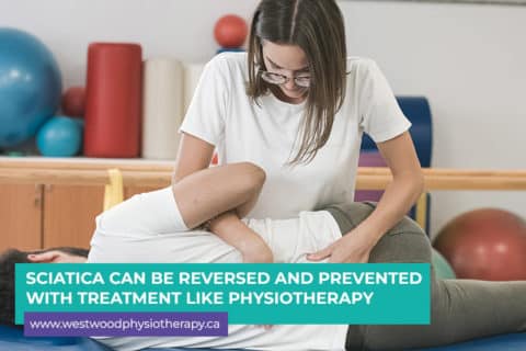 Understanding Sciatica: 7 Things You Need to Know - Westwood Physiotherapy